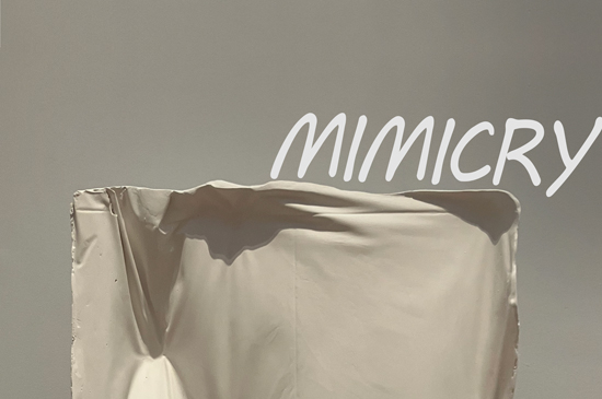 Image & Object 2023 Symposium: Mimicry | The Department of History of Art